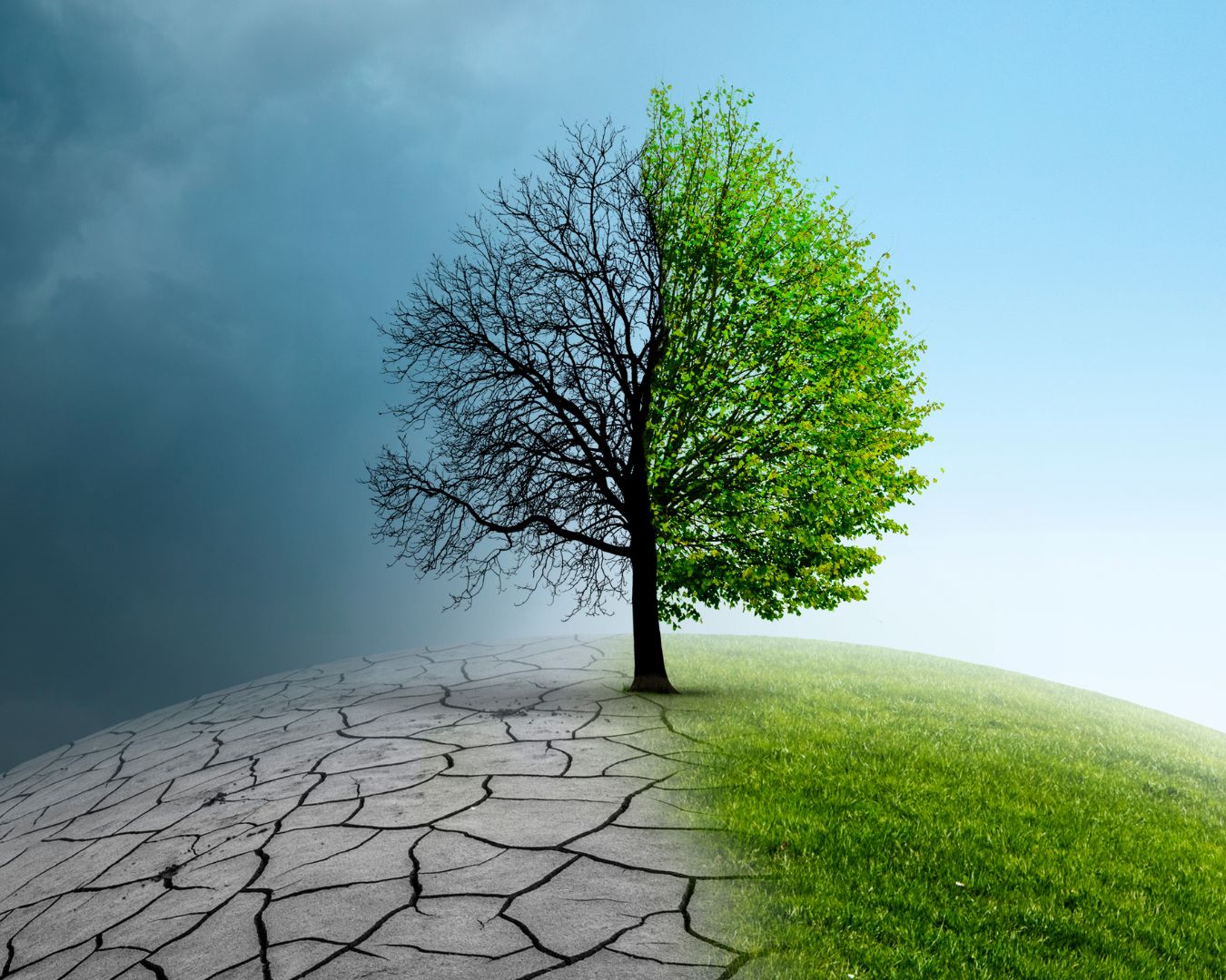 Sustainability activities | EADV Climate Task Force